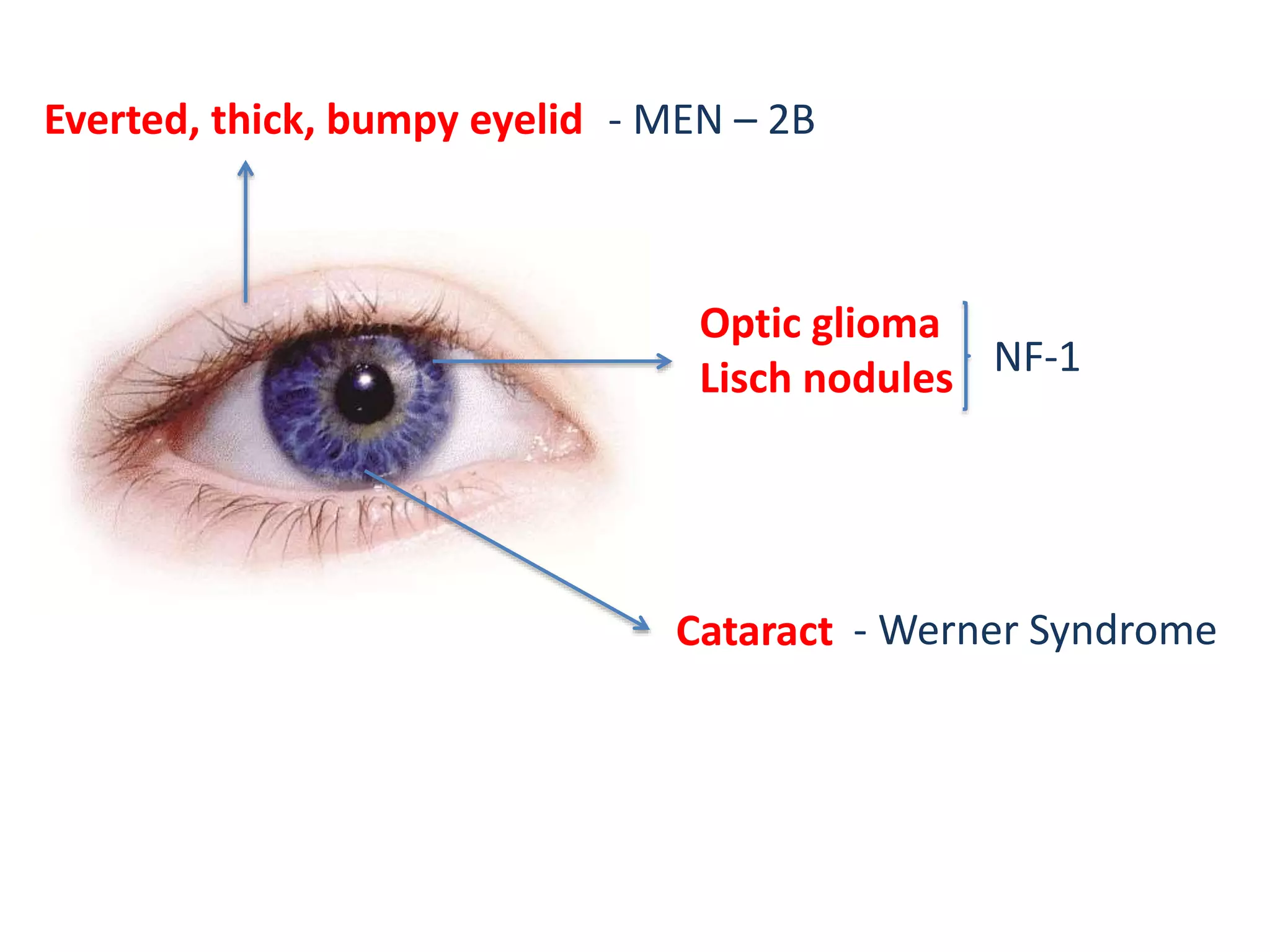 Cutaneous Manifestations of Internal Malignancies | PPTX