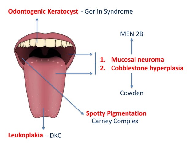Cutaneous Manifestations of Internal Malignancies | PPTX | Skin and ...
