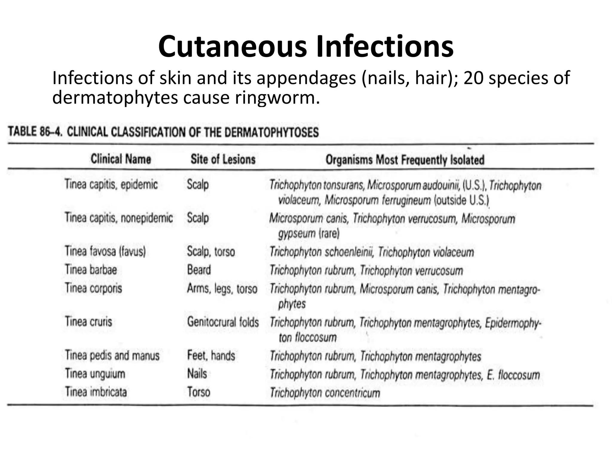 Cutaneous mycoses.ppt