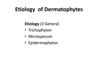 Cutaneous mycoses.ppt