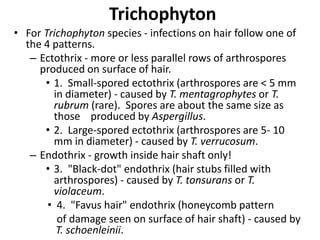 Cutaneous mycoses.ppt