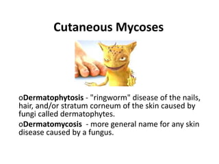 Cutaneous mycoses.ppt