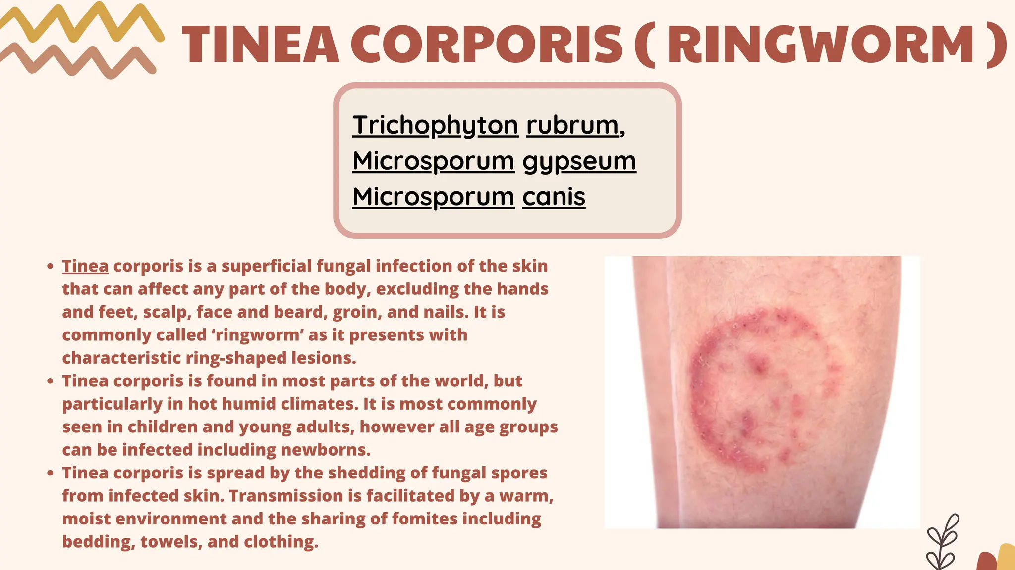 CUTANEOUS MYCOSES.pdf