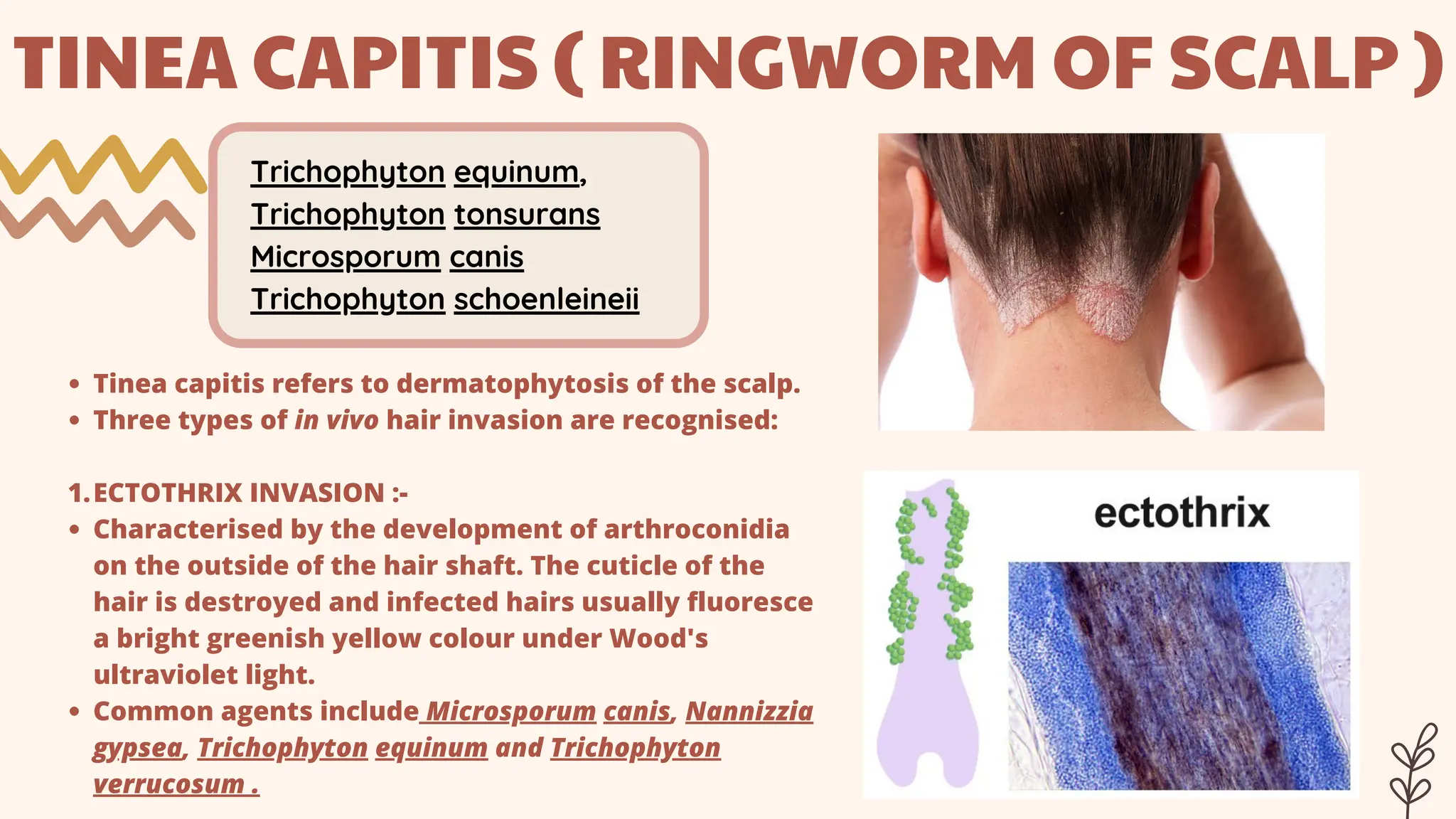 CUTANEOUS MYCOSES.pdf