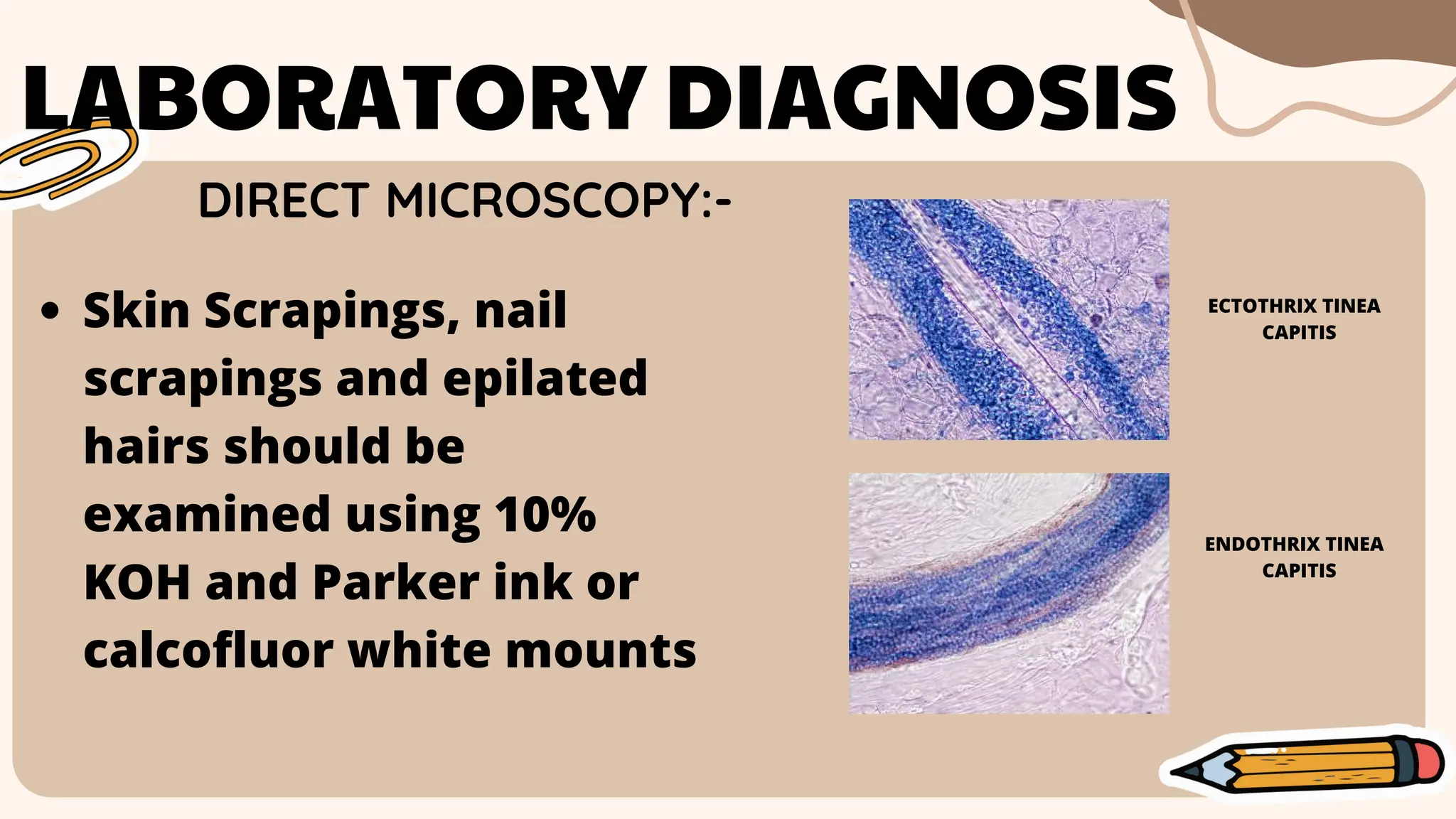 CUTANEOUS MYCOSES.pdf