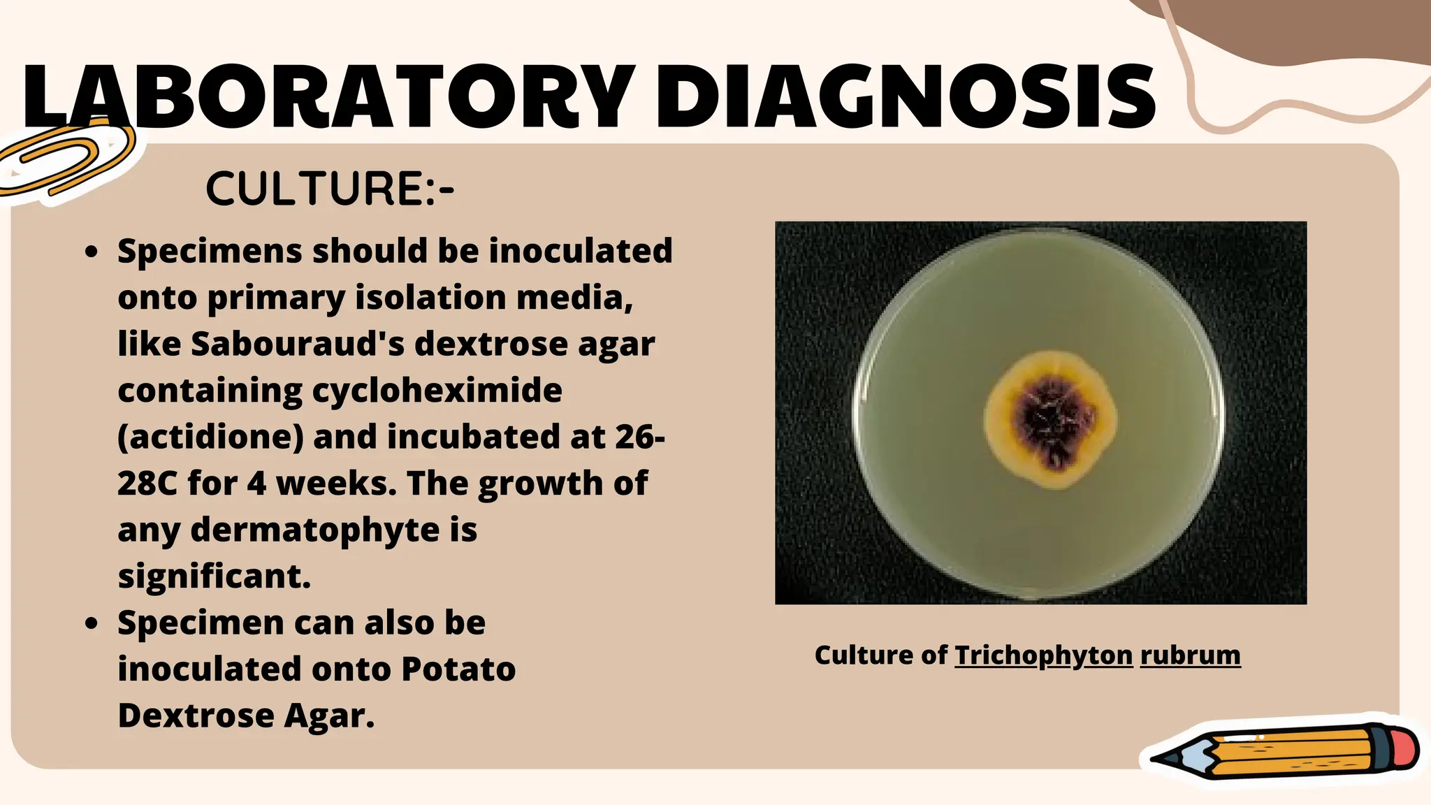 CUTANEOUS MYCOSES.pdf