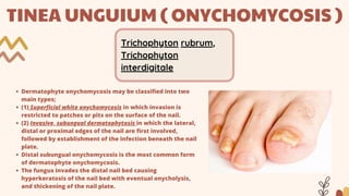 CUTANEOUS MYCOSES.pdf | Foot Health | Diseases and Conditions