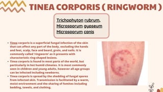 CUTANEOUS MYCOSES.pdf | Foot Health | Diseases and Conditions