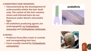 CUTANEOUS MYCOSES.pdf | Foot Health | Diseases and Conditions