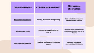 CUTANEOUS MYCOSES.pdf