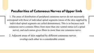 Cutaneous nerve Introduction -ANATOMY 25 | PDF