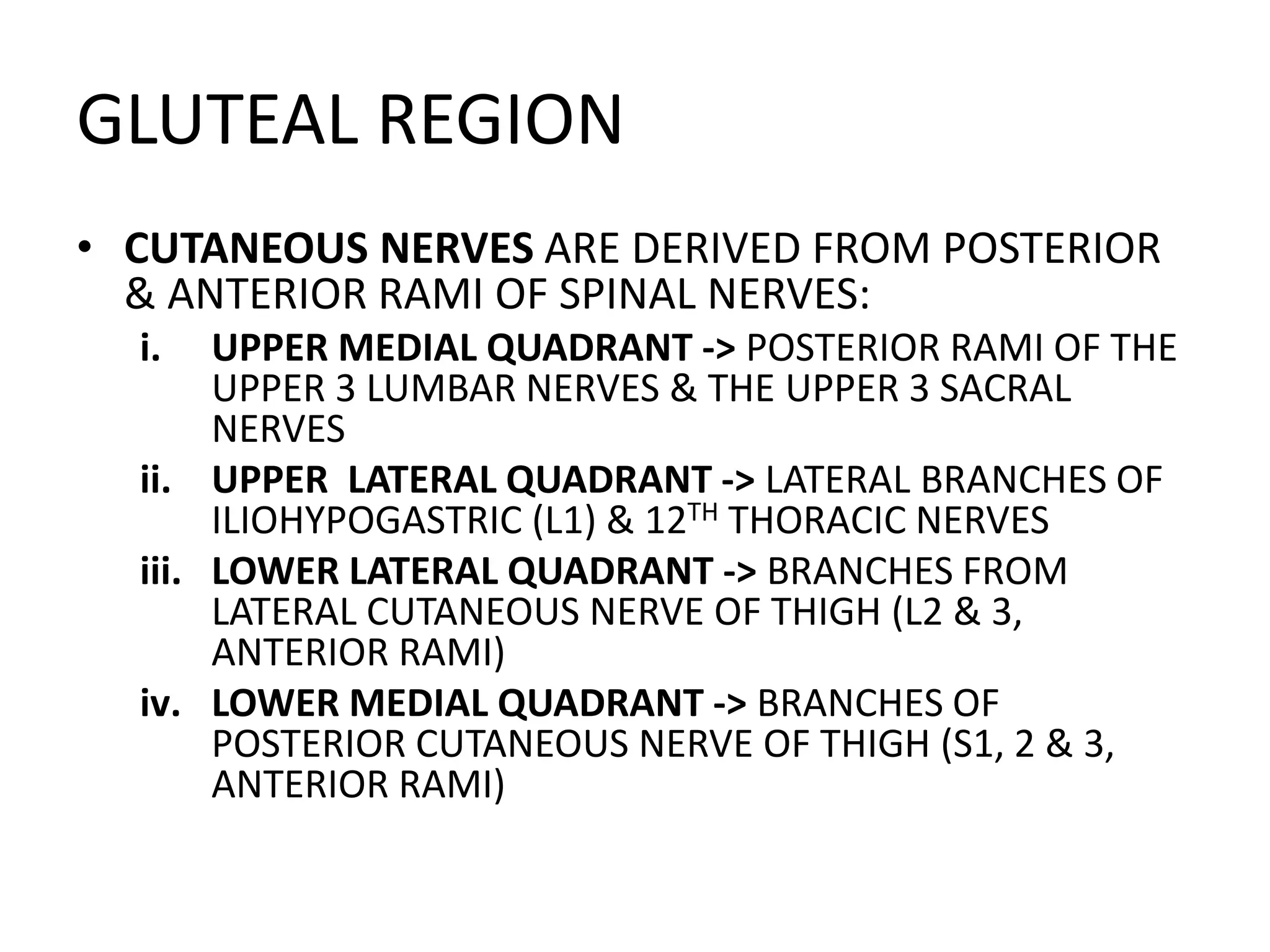 CUTANEOUS NERVES AND VESSELS OF LOWER LIMB.pptx