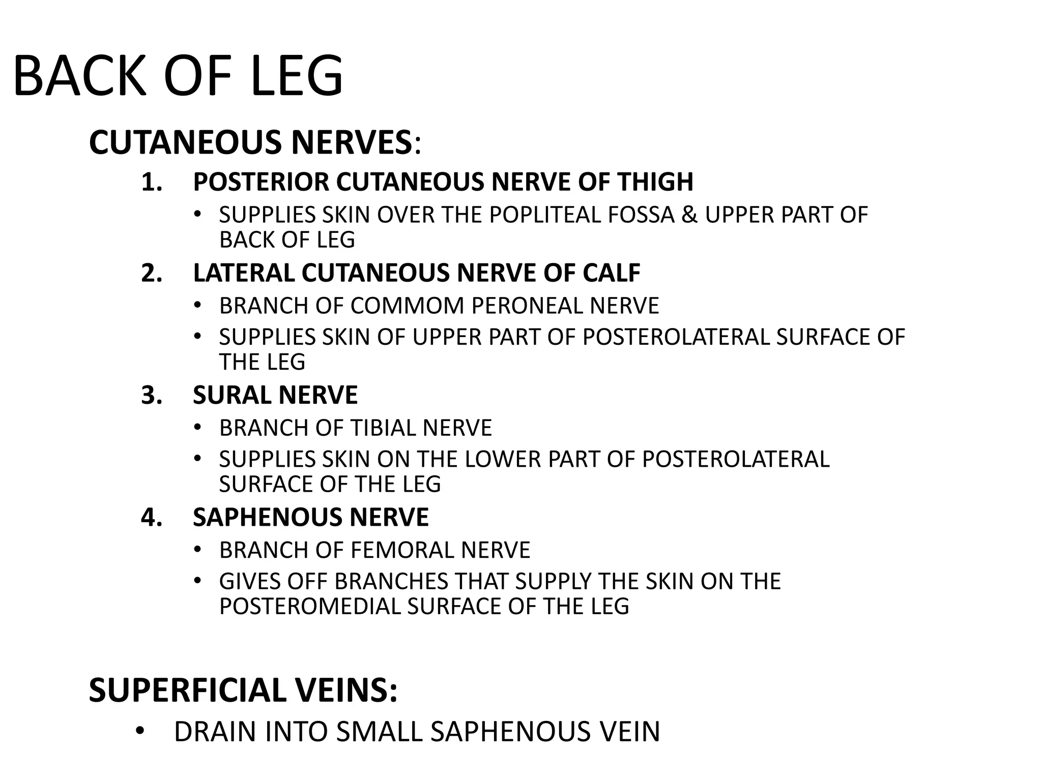 CUTANEOUS NERVES AND VESSELS OF LOWER LIMB.pptx