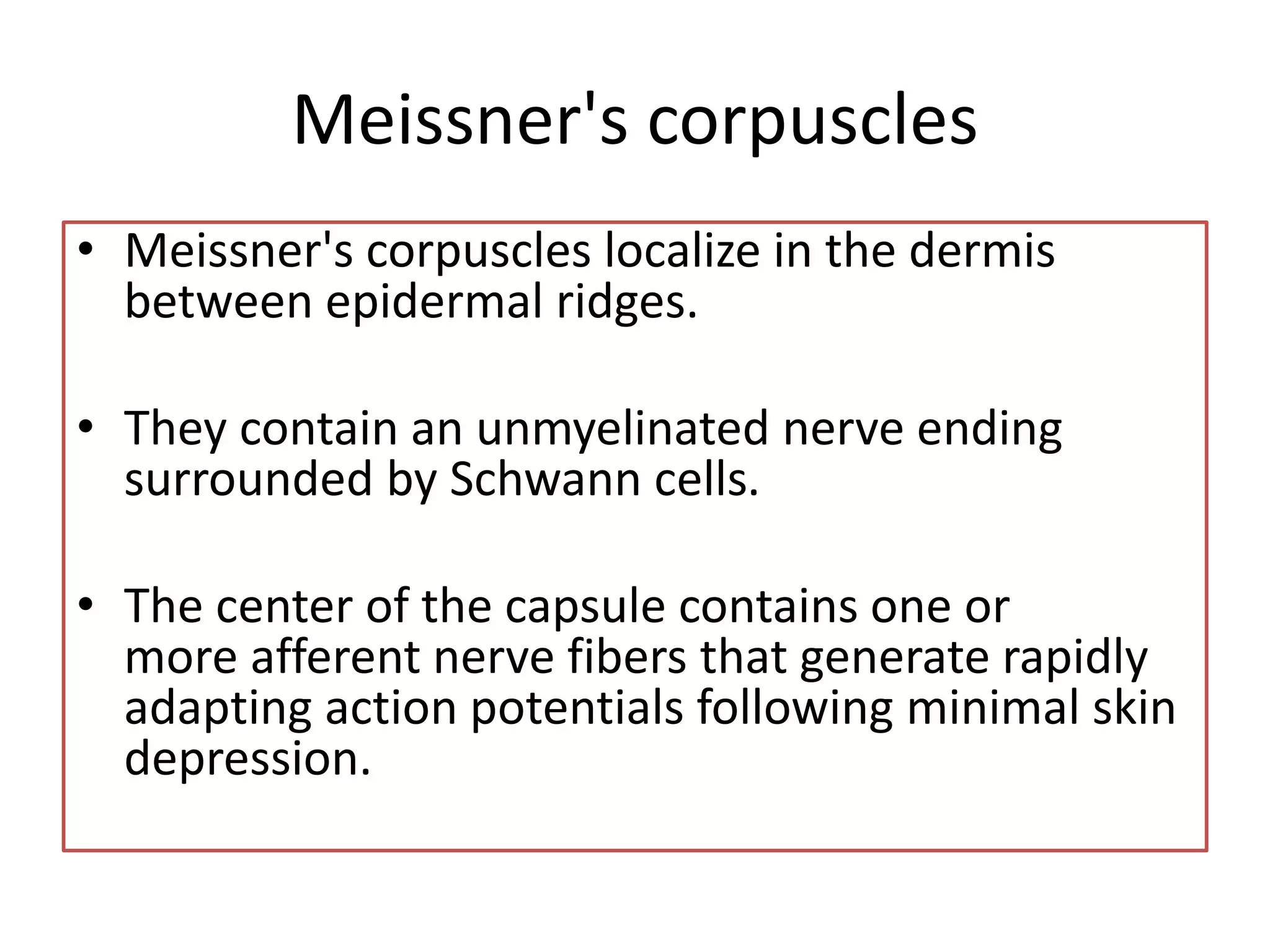 Cutaneous receptors | PPTX
