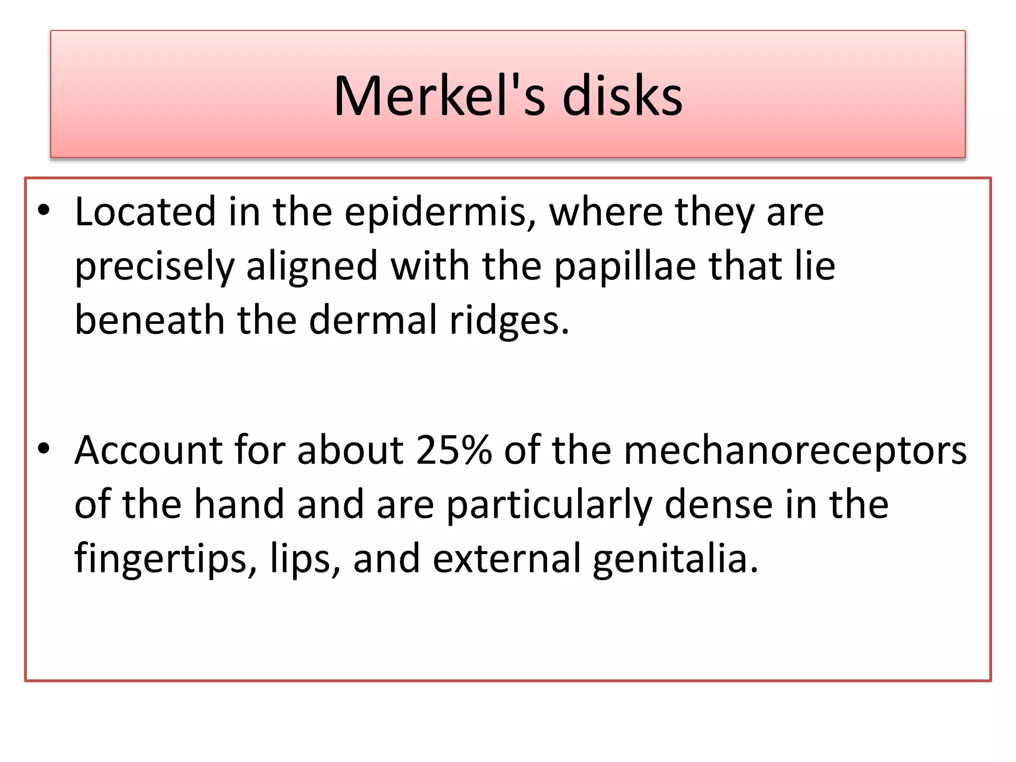Cutaneous receptors | PPTX