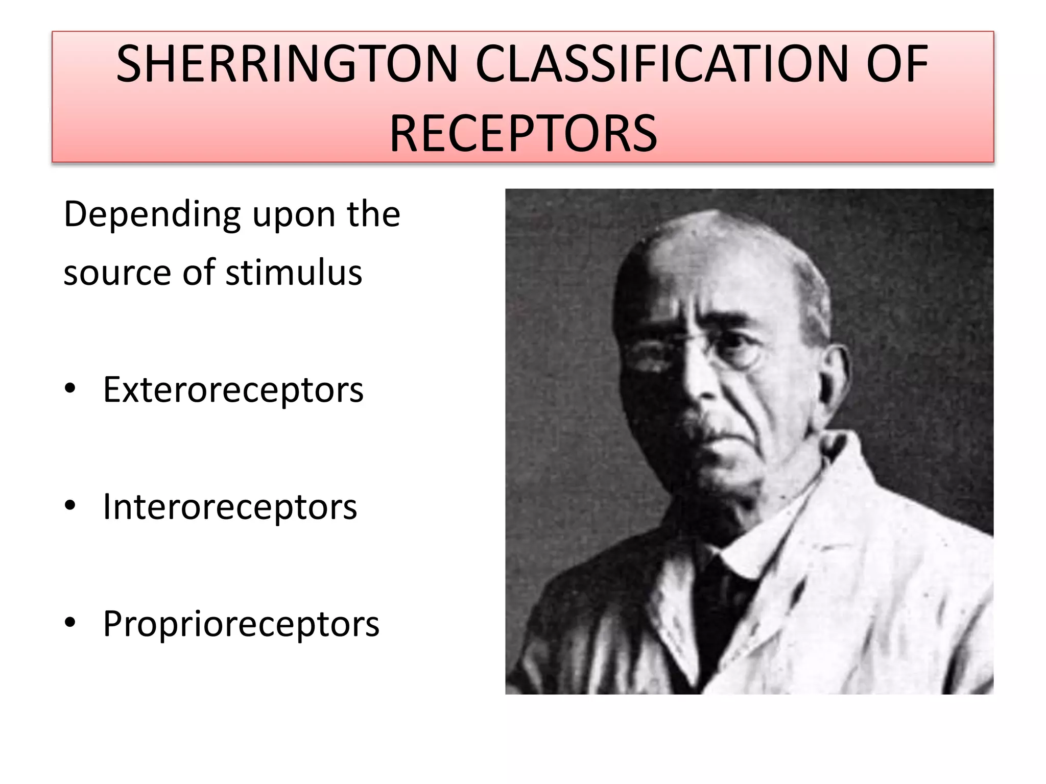 Cutaneous receptors | PPTX