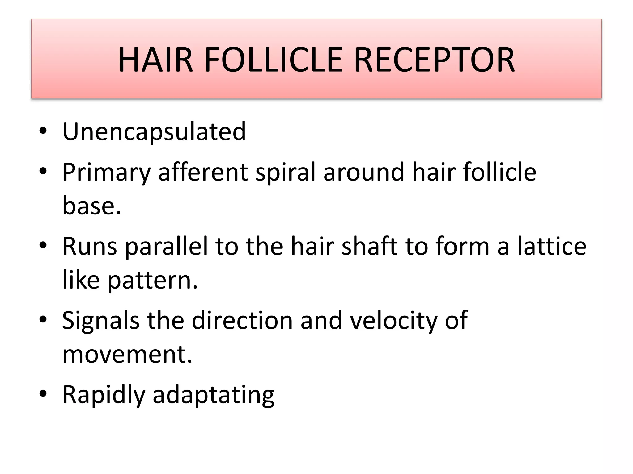 Cutaneous receptors | PPTX