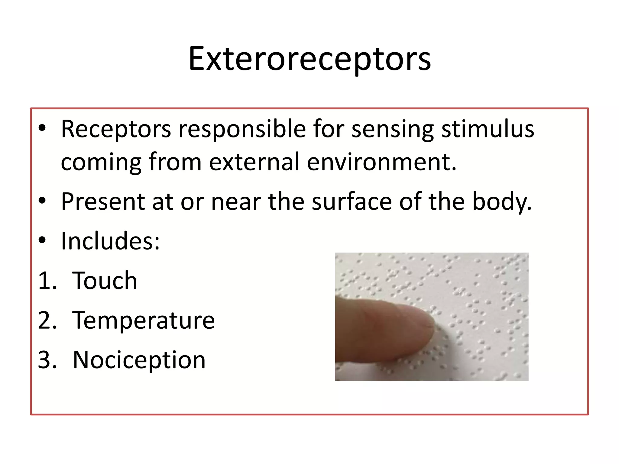 Cutaneous receptors | PPTX