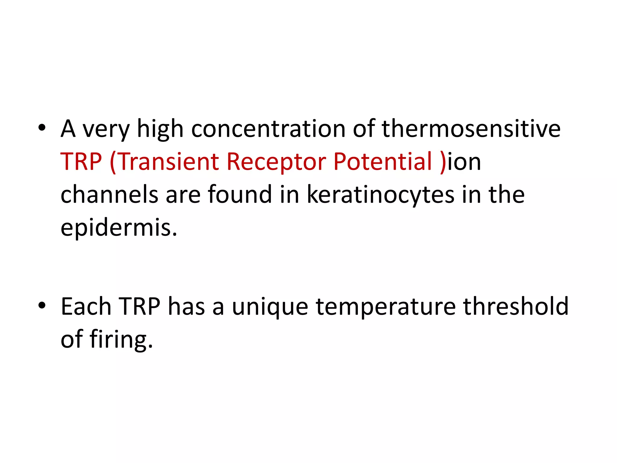 Cutaneous receptors | PPTX