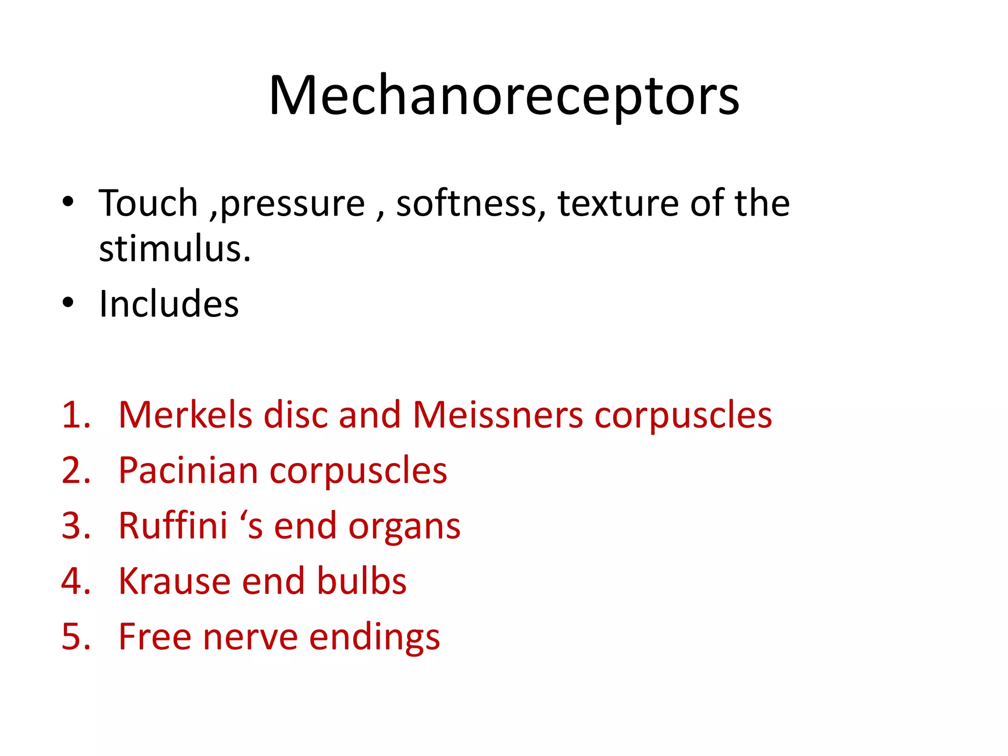 Cutaneous receptors | PPTX