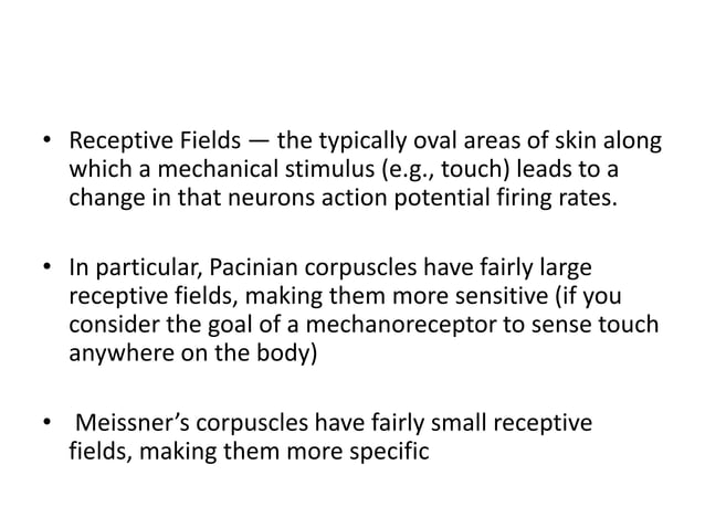 Cutaneous receptors | PPTX | Skin and Dermatology | Diseases and Conditions