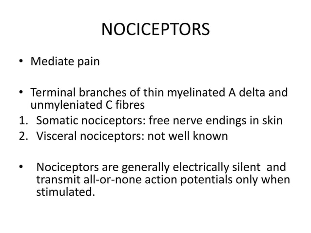 Cutaneous receptors | PPTX | Skin and Dermatology | Diseases and Conditions