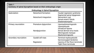 Cutaneous stigmata of spine dr jason | PPT