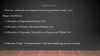 Cutaneous stigmata of spine dr jason | PPT