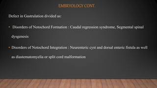 Cutaneous stigmata of spine dr jason | PPT