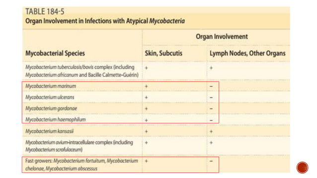 Cutaneous tuberculosis | PPTX | Skin and Dermatology | Diseases and ...