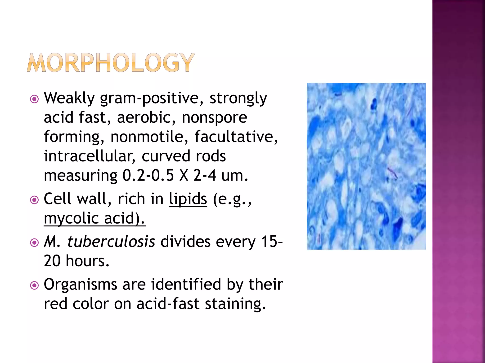 Cutaneous tuberculosis final ppt | PPTX