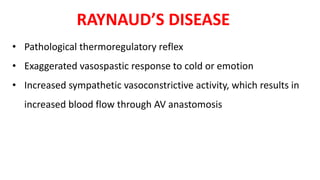 Cutaneous Vasculature and Thermoregulation | PPTX