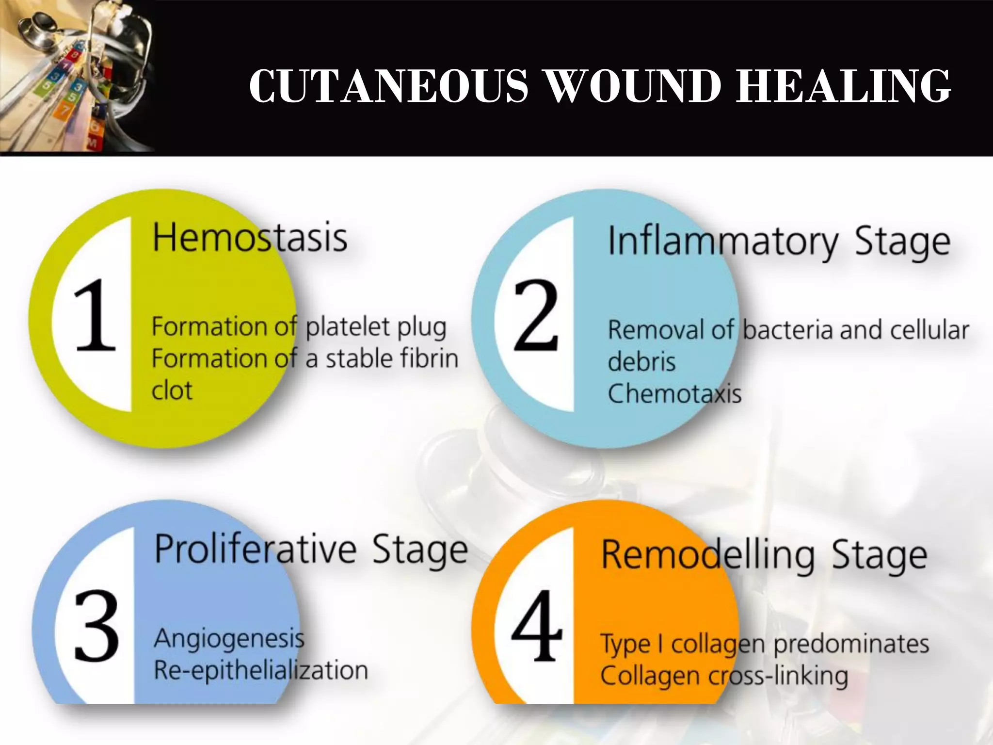 Cutaneous wound healing | PDF | First Aid | Injuries