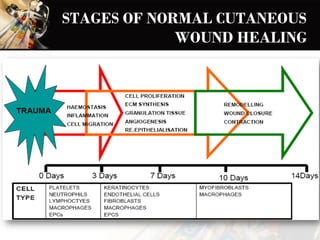 Cutaneous wound healing | PDF