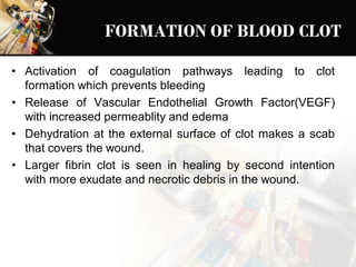 Cutaneous wound healing | PDF