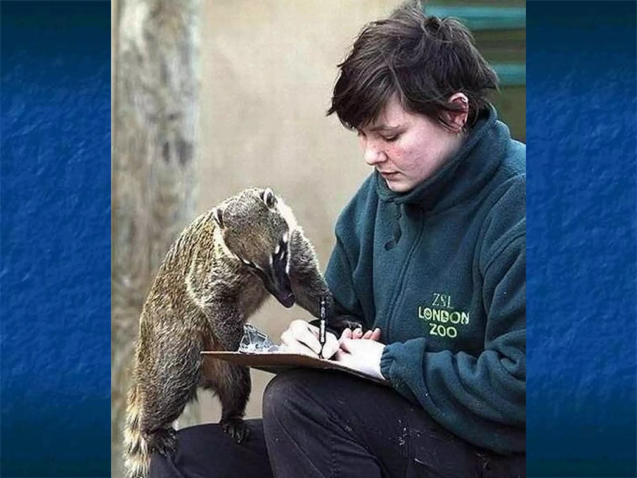 Animals and people | PPS