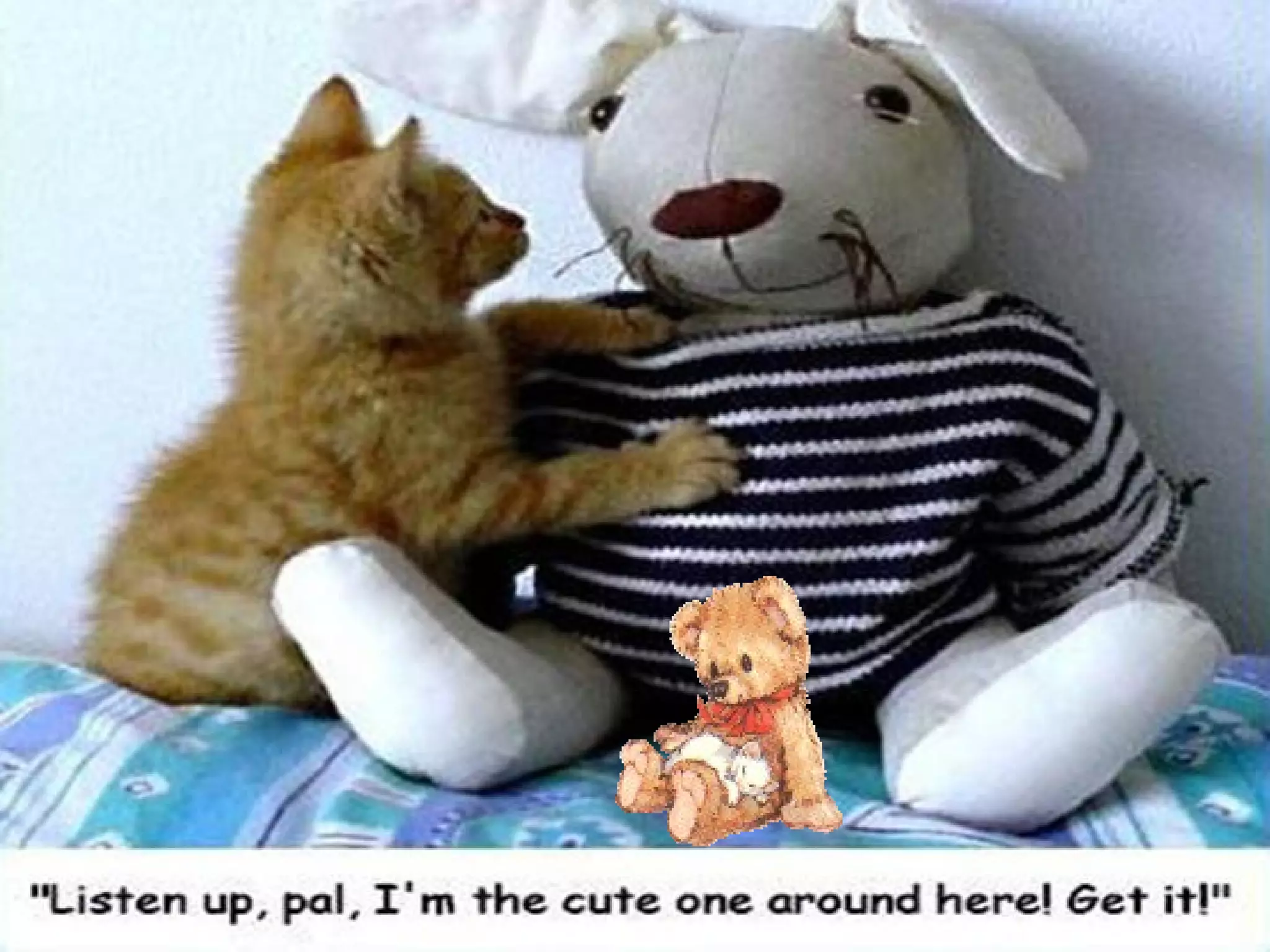 Cute Animals 01 | PPS