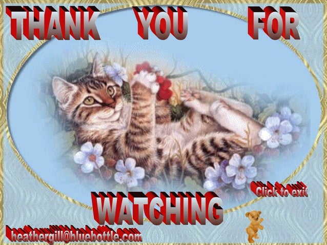 Cute Animals 01 | PPS