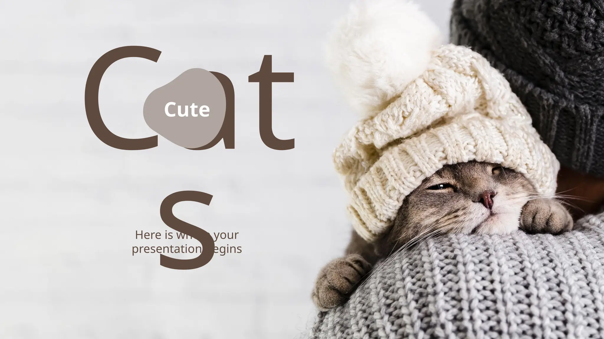 435278876199792.kucinganimasi.cute-cats.pptx