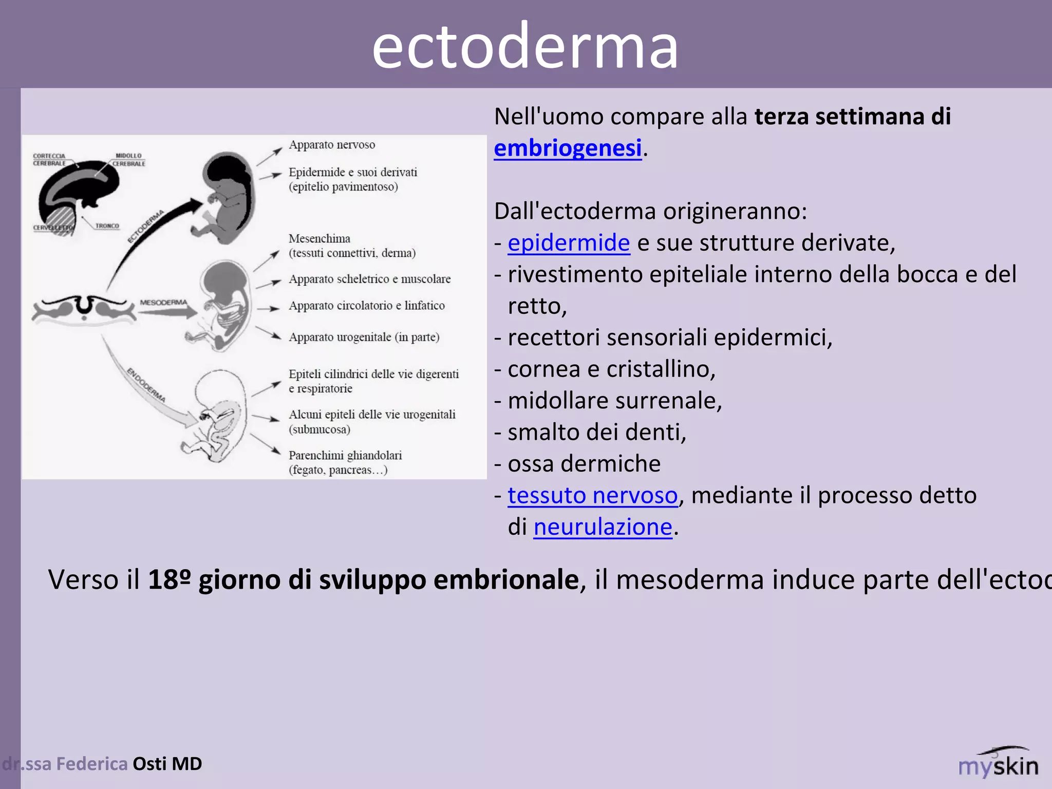 Cute anatomia e fisiologia | PDF