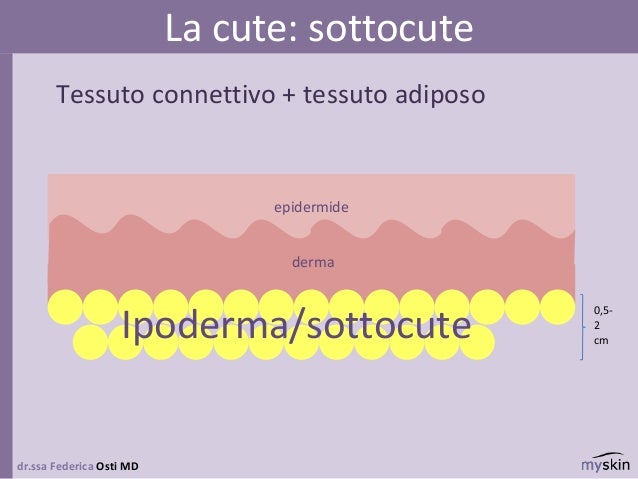 Cute anatomia e fisiologia