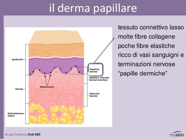 Cute anatomia e fisiologia