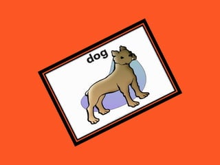 cute animals.pdf | Free Download