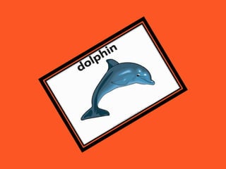 cute animals.pdf | Free Download