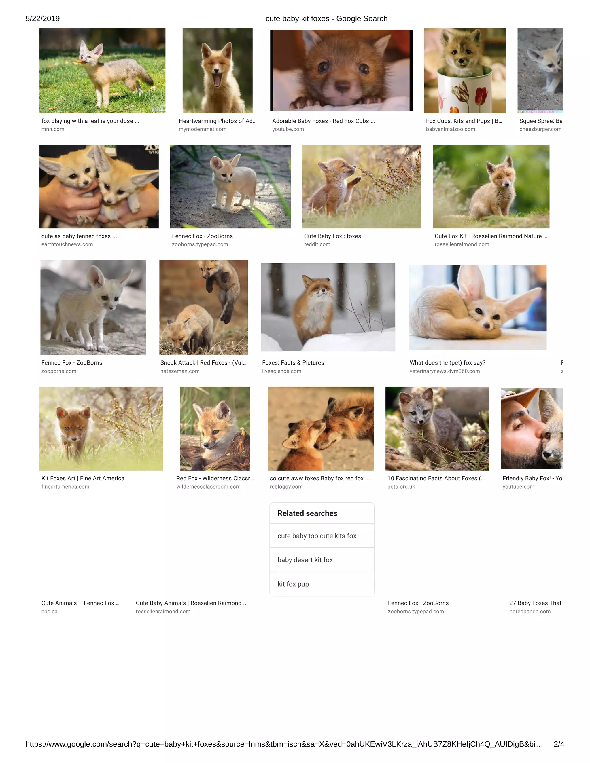 Cute baby kit foxes google search | PDF