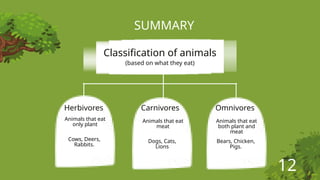 Cute Illustrations Animals Life Classification School Presentation.pptx