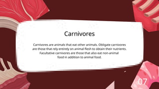Cute Illustrations Animals Life Classification School Presentation.pptx