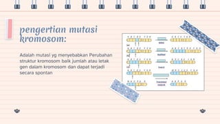 Mutasi krmosom.pptx