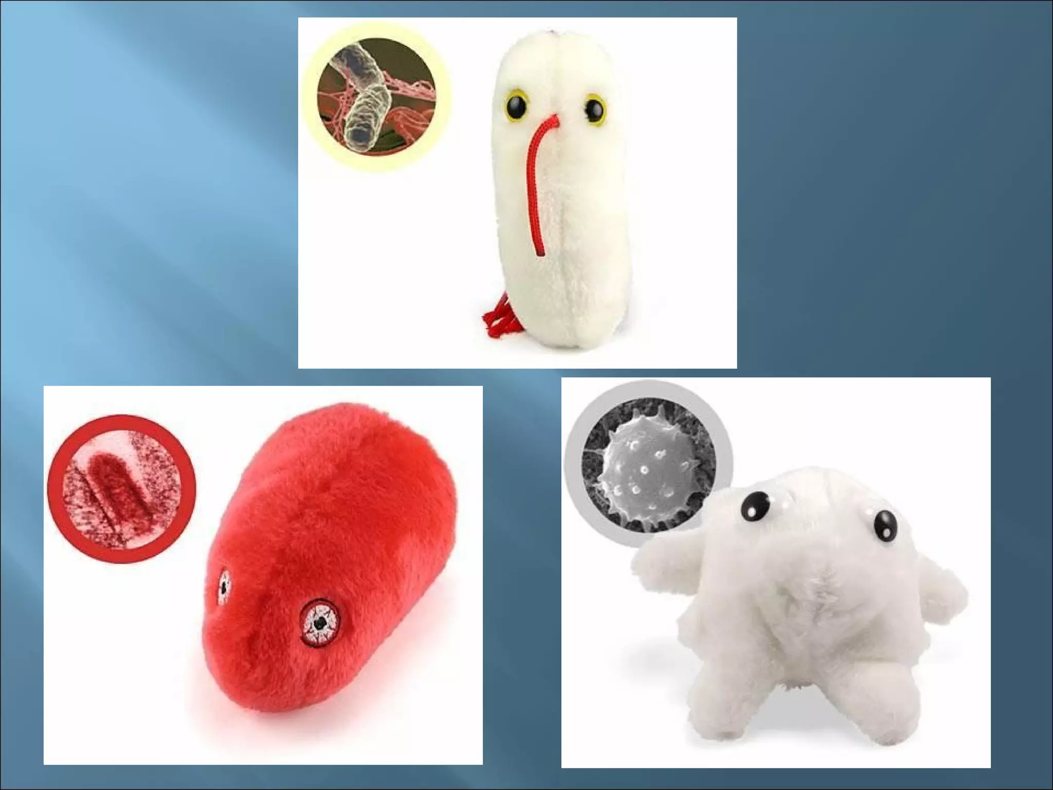 Cute Viruses And Bacteria Part Duex | PPT