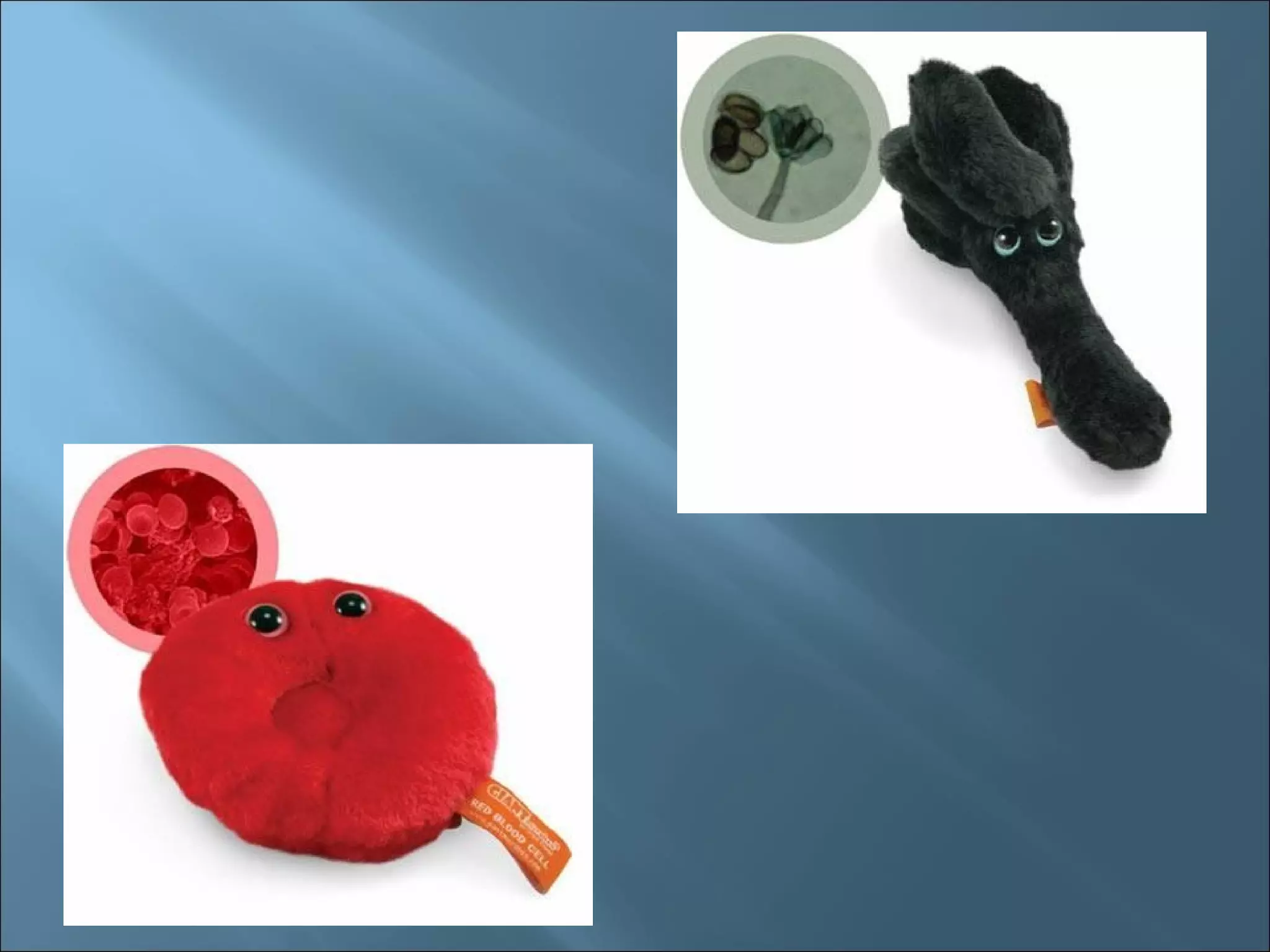 Cute Viruses And Bacteria Part Duex | PPT | Biological Sciences | Science